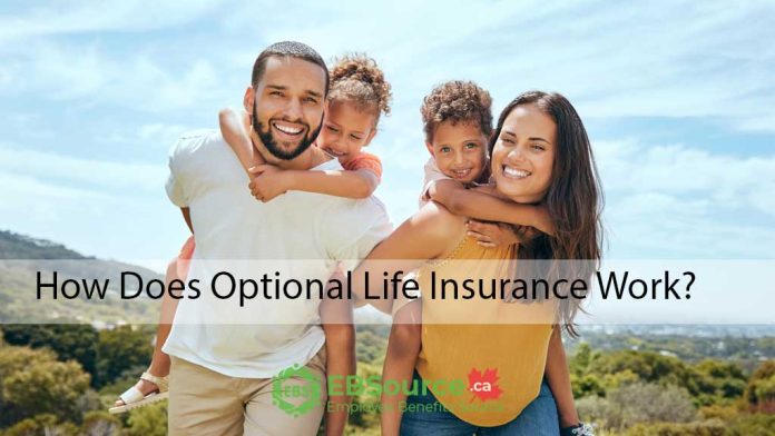Employee Optional Life Insurance: The Ins and Outs