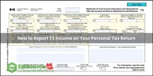What Are T3 Slips? A Clear Guide for Trust Beneficiaries